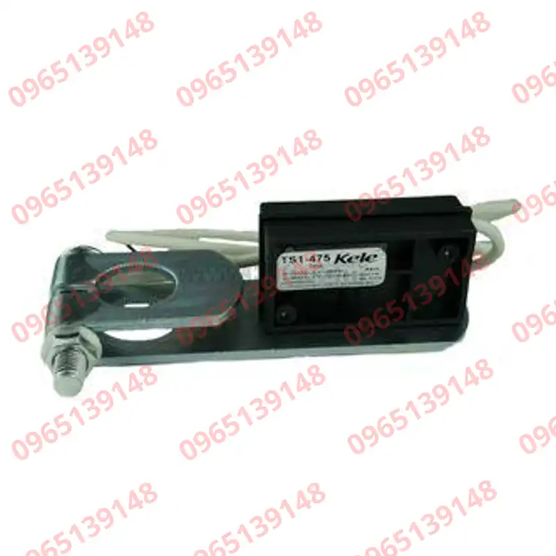 TS1-475 | DAMPER END SWITCH/ONE SPDT/1 SHAFT/NON-MERCURY - Công ty Cổ ...