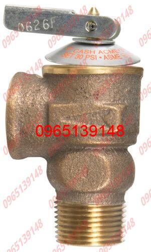 Cash Acme 3/4 in. Pressure Only Relief Valve Pressure Relief Valve ...