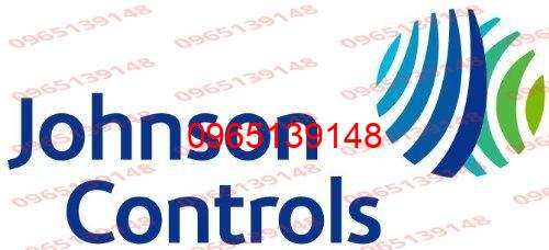 Johnson Controls 2-Way Stainless Steel Trim Ball Valve with Electric ...