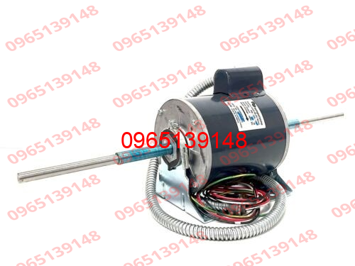 Temperzone 046-000-302 Duplex Shaft Bldc Fan Motor 1.25Kw 380Vdc ...