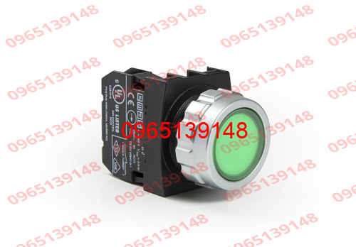 30mm Push Button Start Green H100DY EMAS - Công ty Cổ Phần Smind