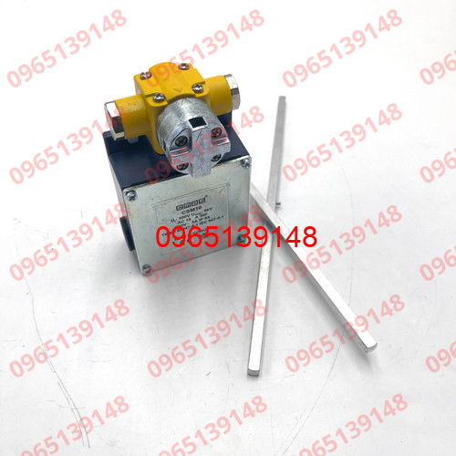 Limit Switch CSM10 EMAS Rod Cross 200mm - Công ty Cổ Phần Smind