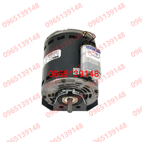 Mcquay/Daikin 300049498 Motor, 115V, 1/8 Hp, 700 Rpm 40Ly42 - Công ty ...