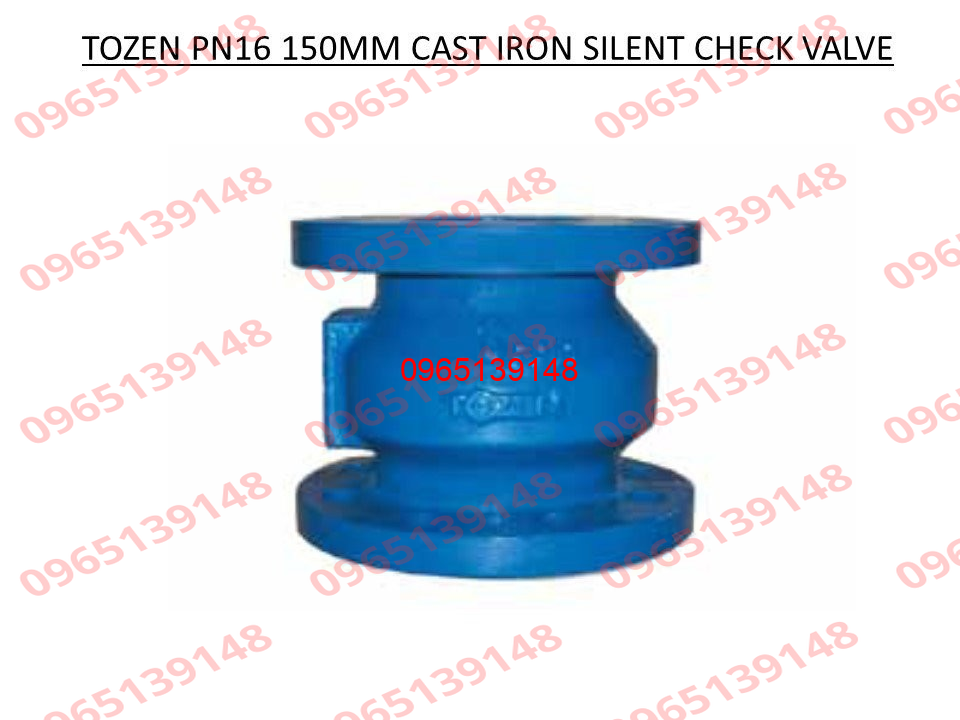 Tozen Pn16 150Mm Cast Iron Silent Check Valve #edfc7a2b8 - Công ty Cổ ...