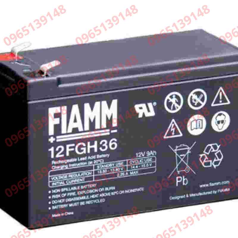 Ắc Quy Fiamm 12V-9Ah (12Fgh36) #f4152fc93 - Công ty Cổ Phần Smind